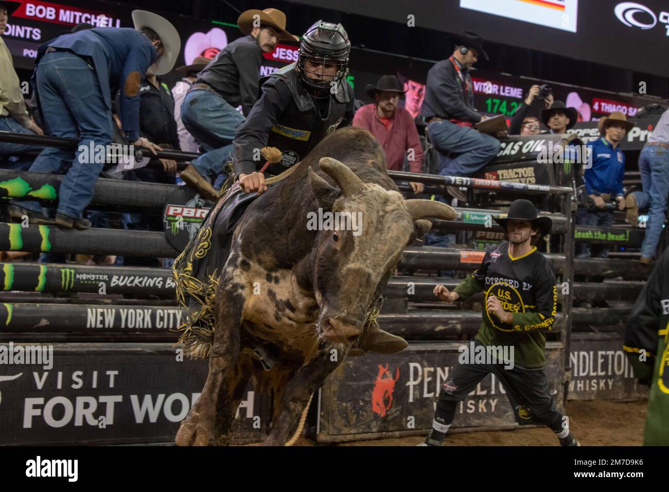 New York, New York, USA. 8th Jan, 2023. (NEW) 2023 Professional Bull ...