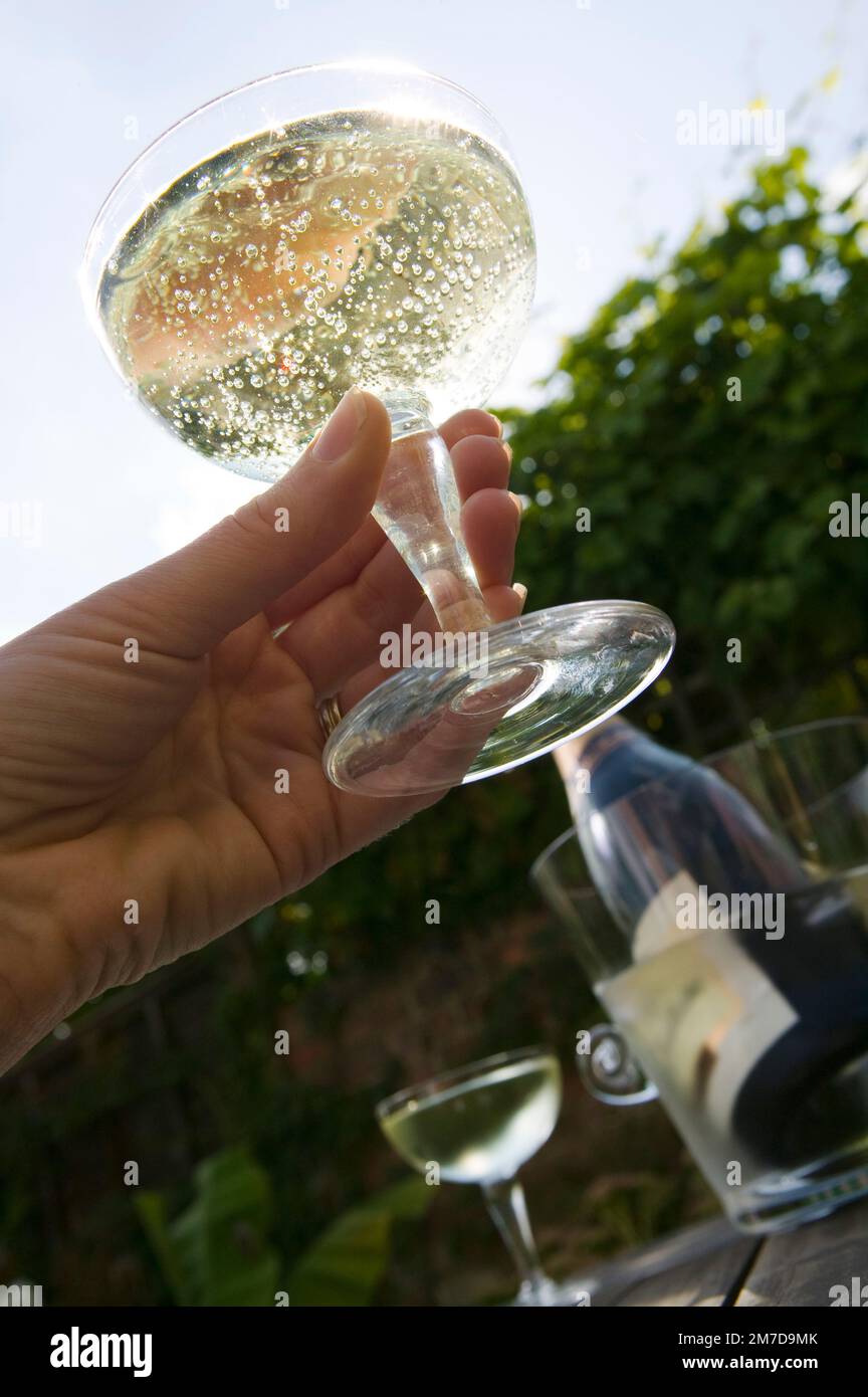 Champagne ice garden hi-res stock photography and images - Alamy