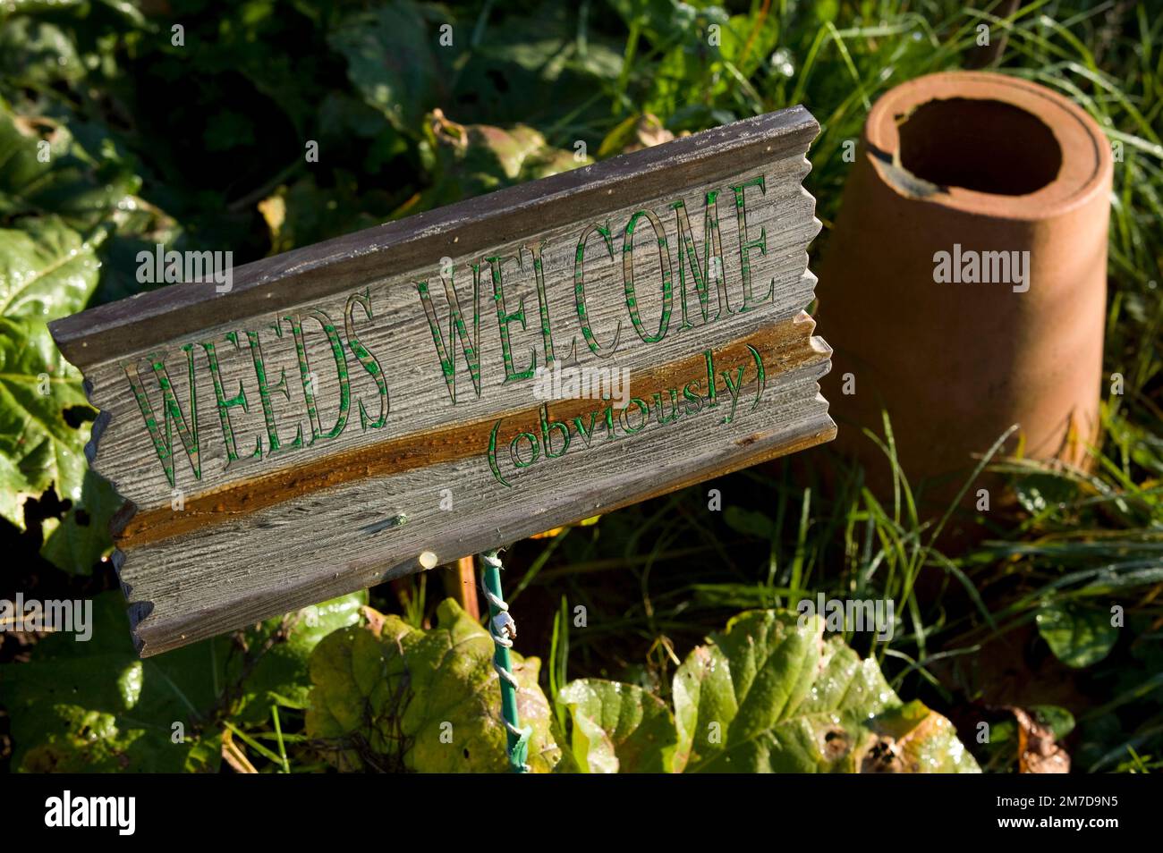 Welcome weeds hi-res stock photography and images - Alamy