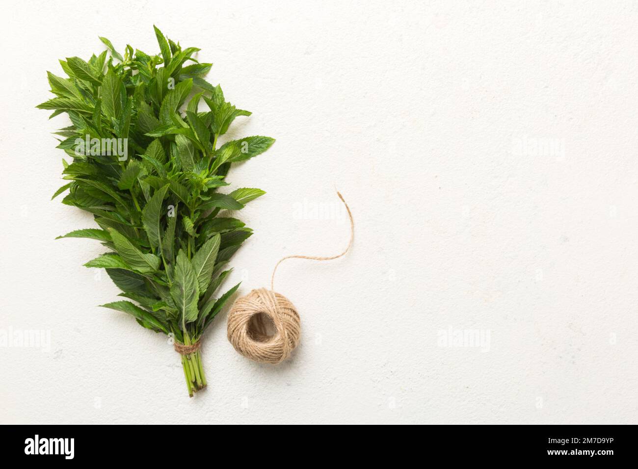 Fresh mint bunch on colored table. Top view with copy space Stock Photo ...