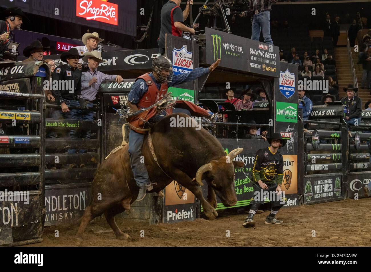 Pbr Bull Riding Logo Wallpaper