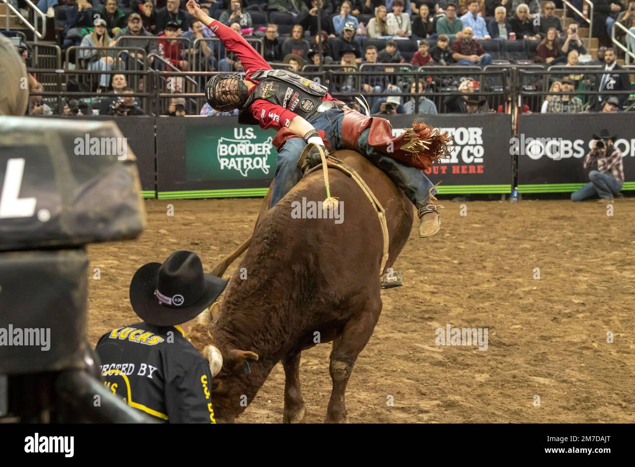 New York, New York, USA. 8th Jan, 2023. (NEW) 2023 Professional Bull ...