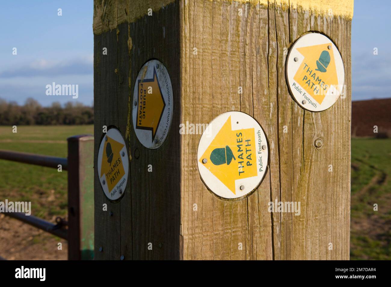 Signs on a post indicating the direction of the pathway along "the ...