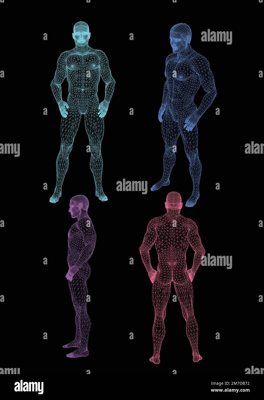 3d digital render male anatomy Stock Vector Images - Alamy