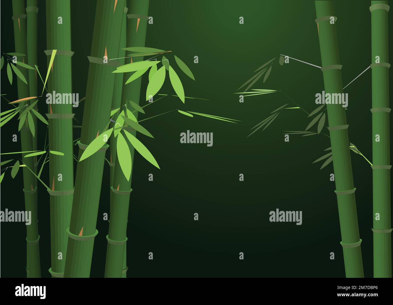 Illustration of a bamboo plant inside the forest Stock Vector Image ...
