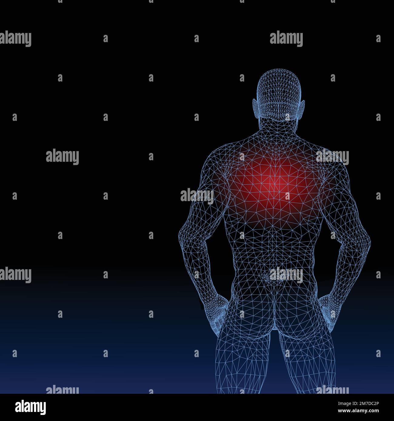 3d digital render male anatomy Stock Vector Images - Alamy