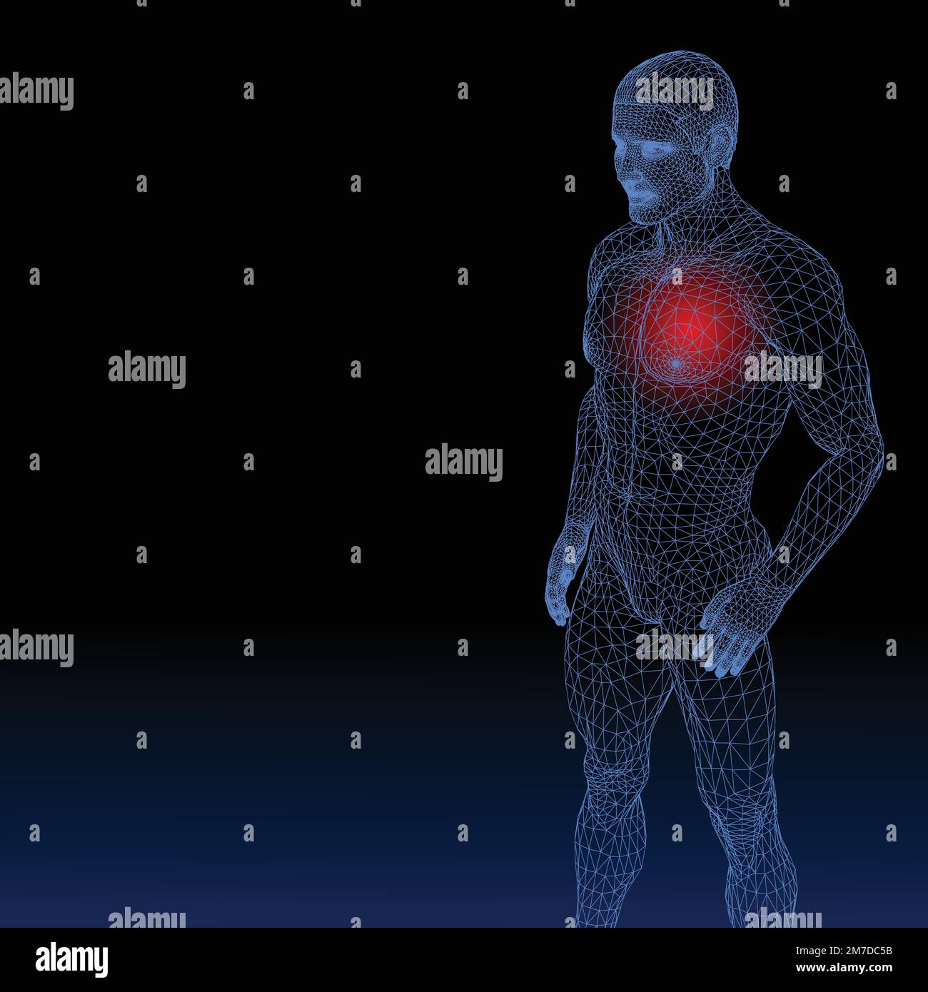 Human body ray scan anatomy hi-res stock photography and images - Alamy