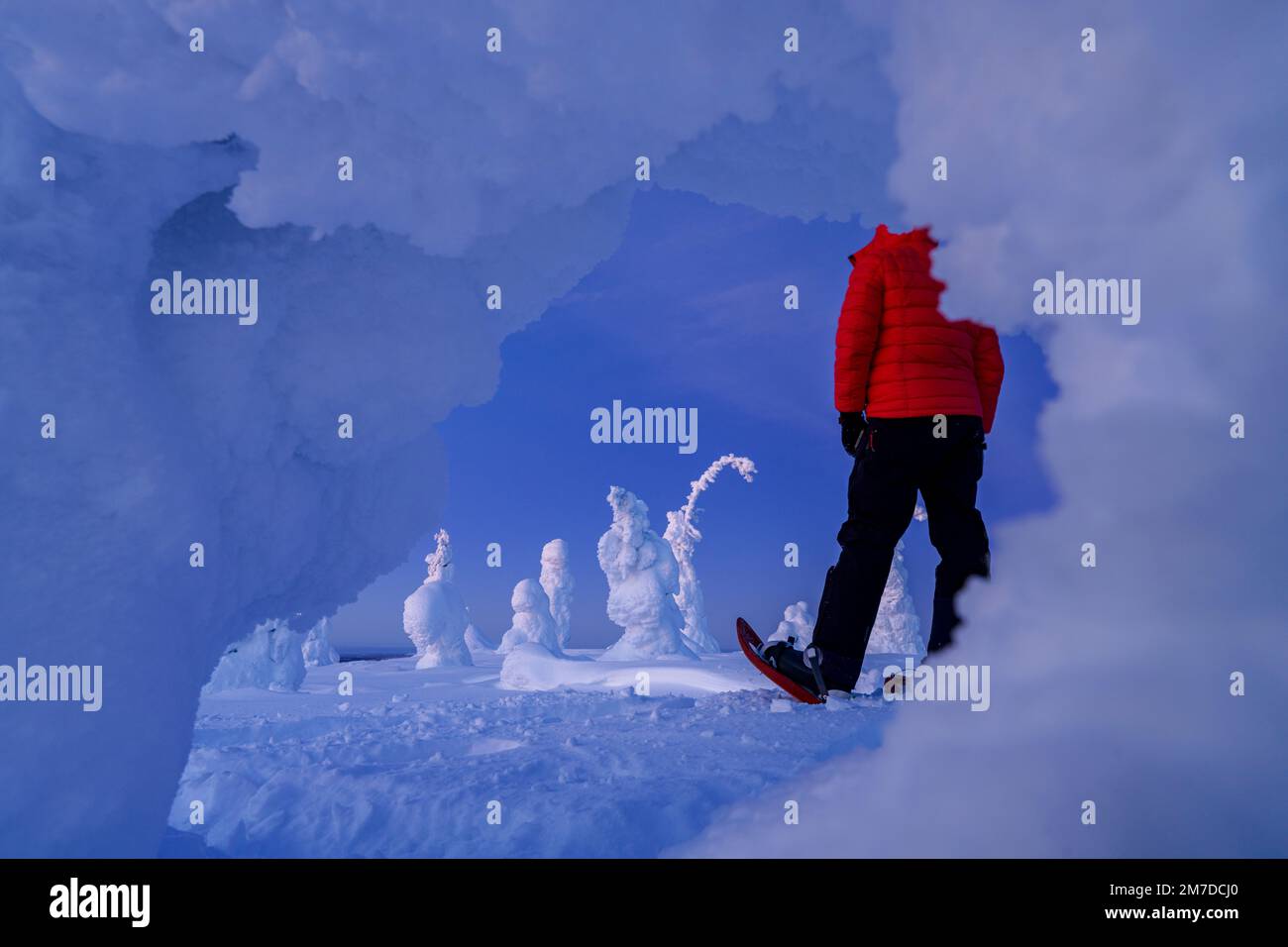 Hiker with snowshoes admiring the ice sculptures at dusk, Riisitunturi ...