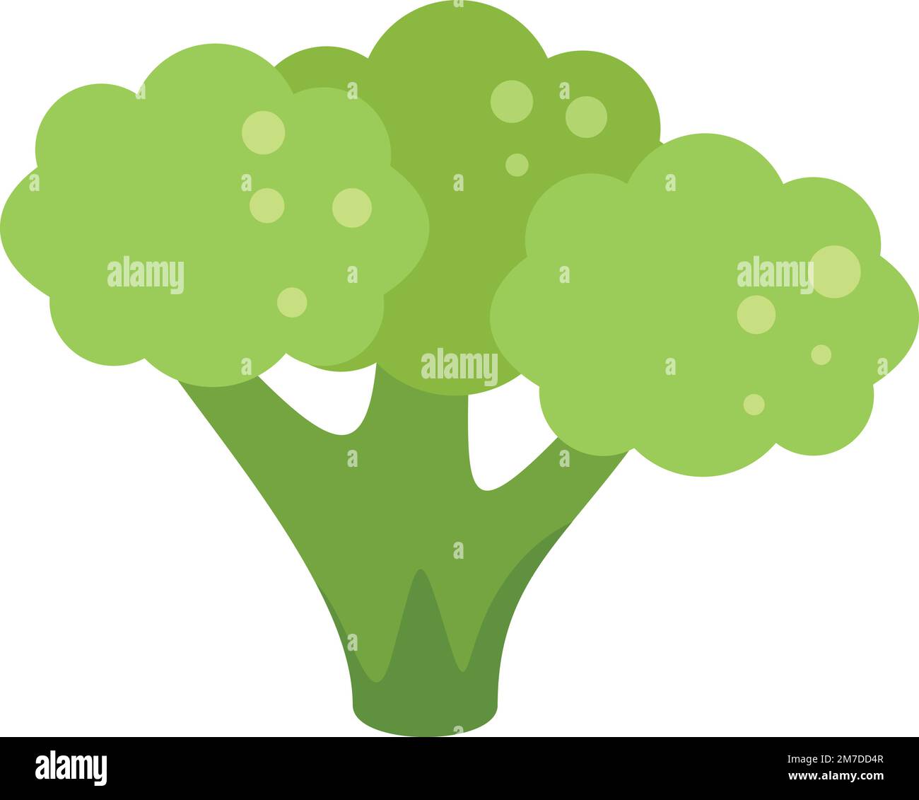 Brocoli head icon flat vector. Vegetable cabbage. Plant salad isolated ...
