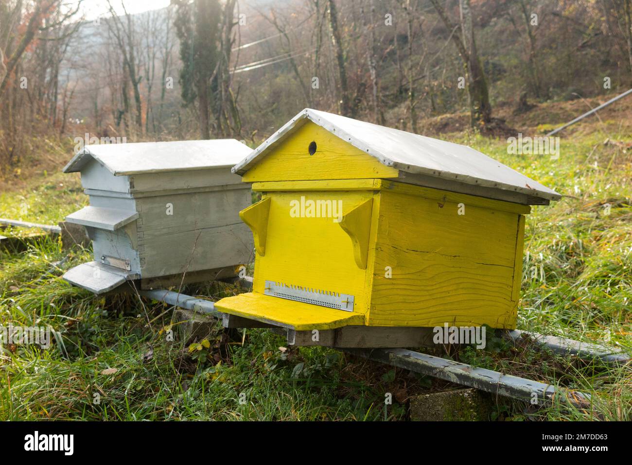 Country field with bee hive, in the winter months. Beekeeping / bee ...