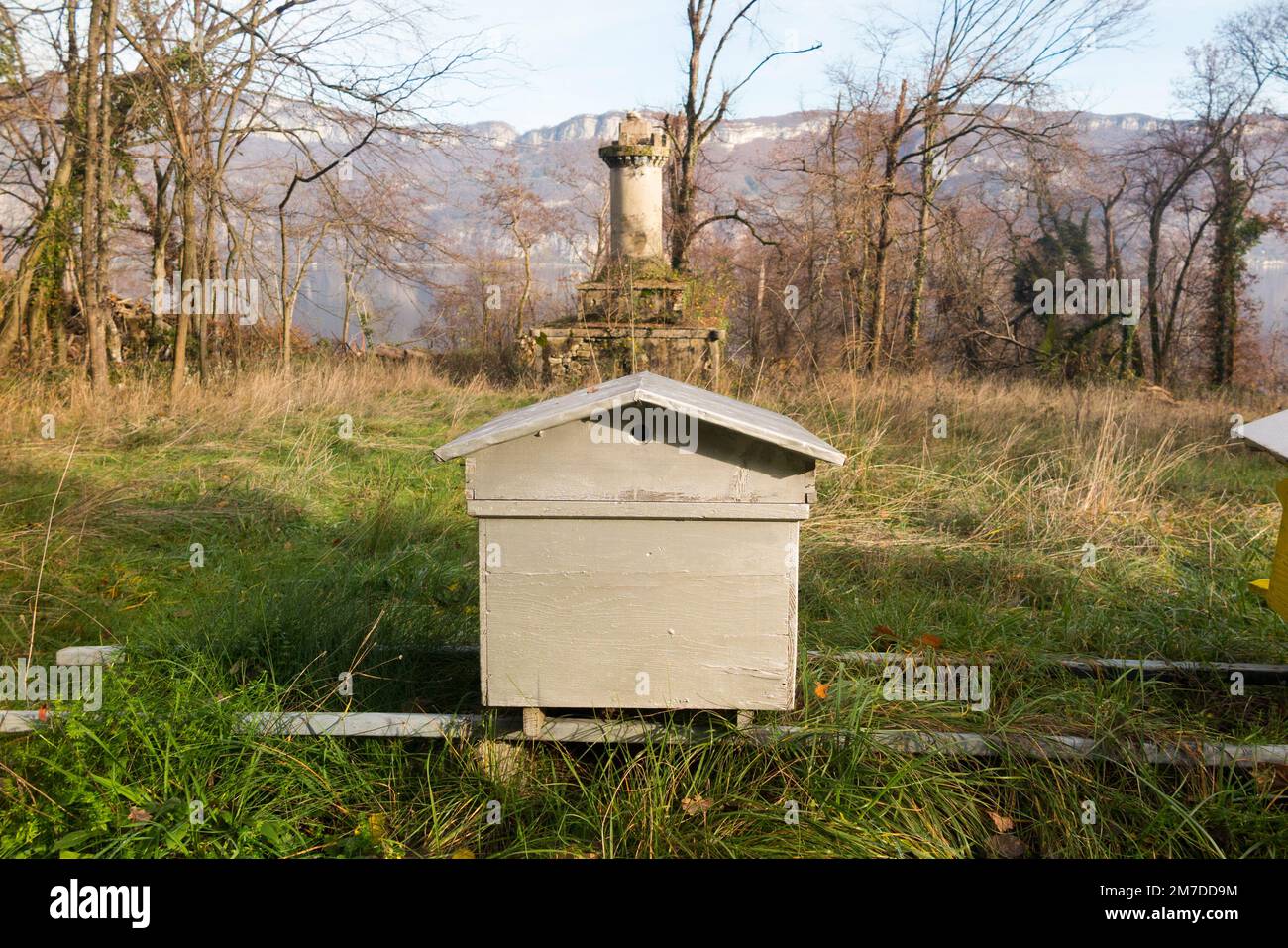 Wintering bee colony hi-res stock photography and images - Alamy