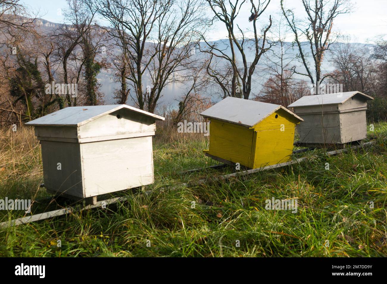 Country field with bee hive, in the winter months. Beekeeping / bee ...