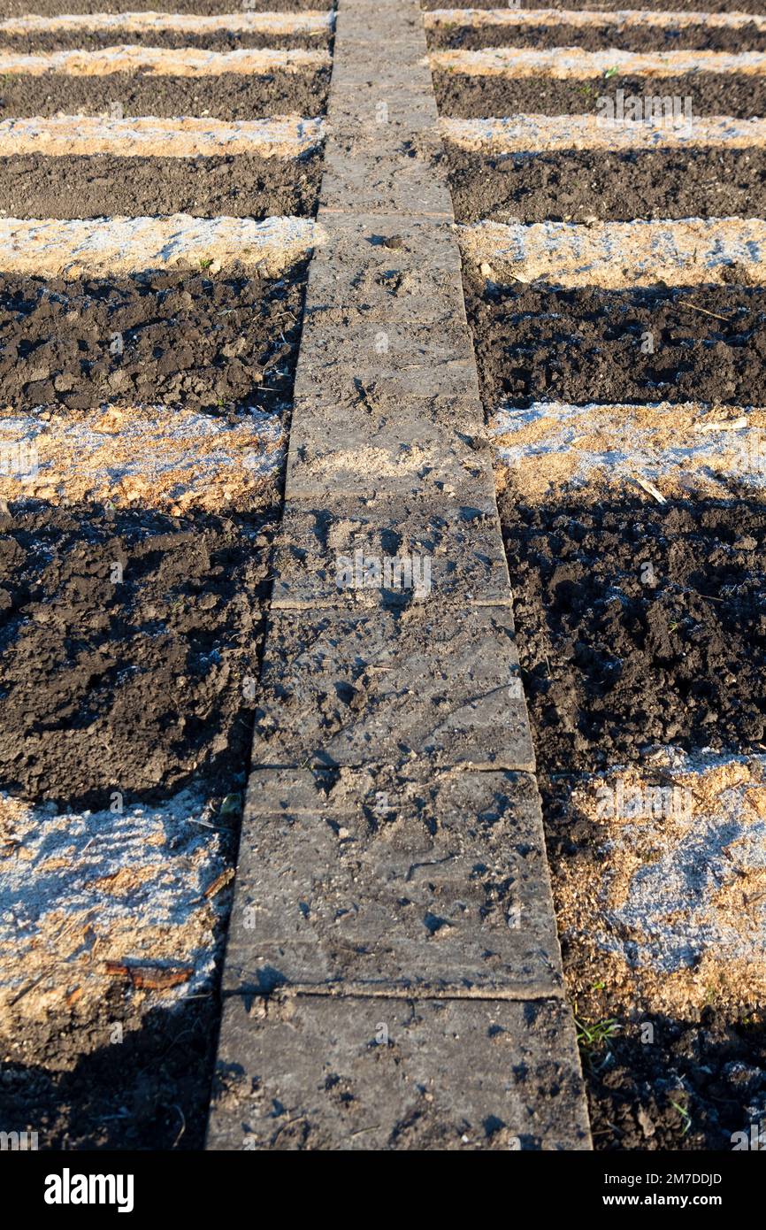 Symetrical planting hi-res stock photography and images - Alamy