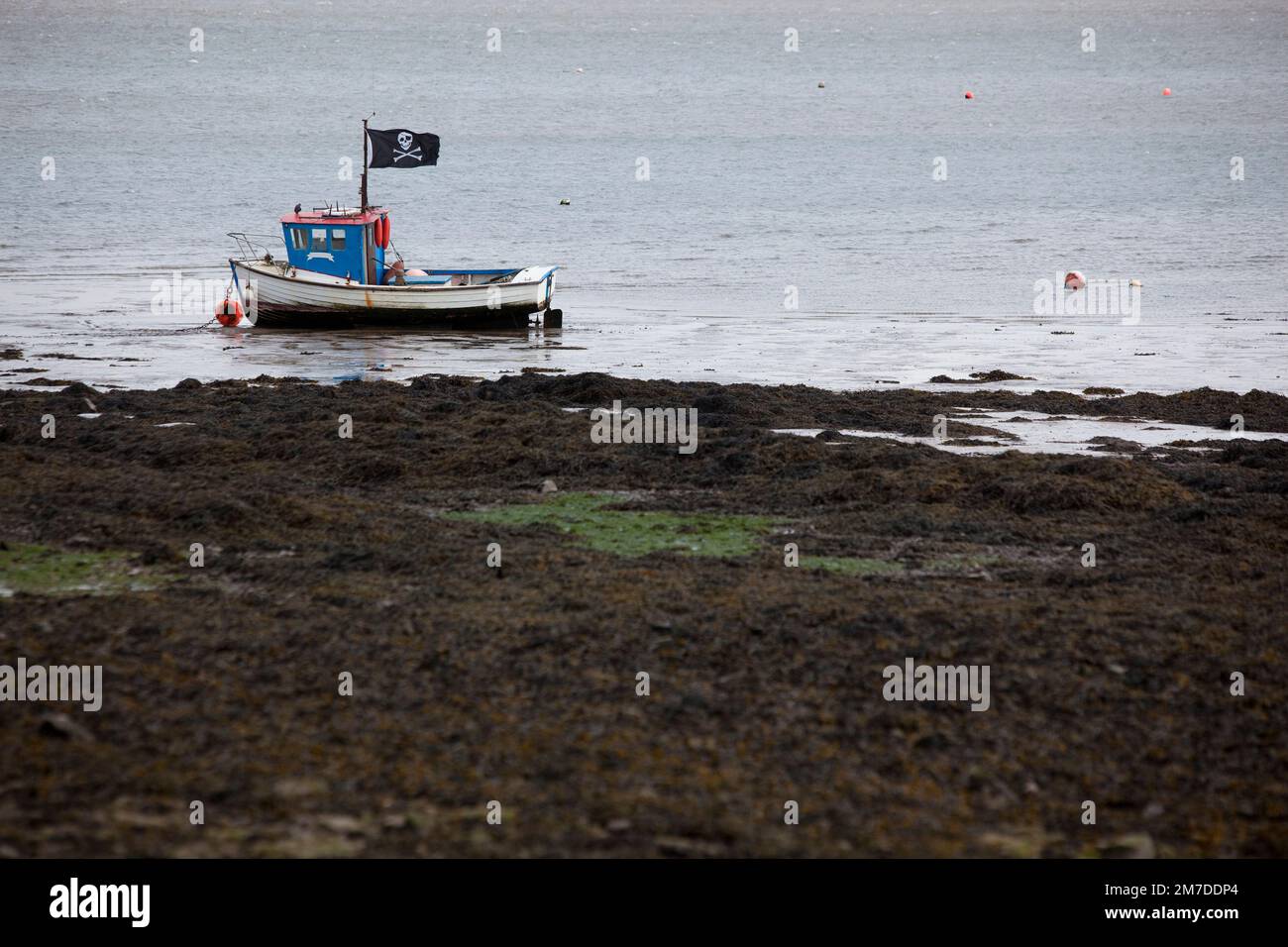 A small fishing boat moored in the shallow water at milford haven near ...