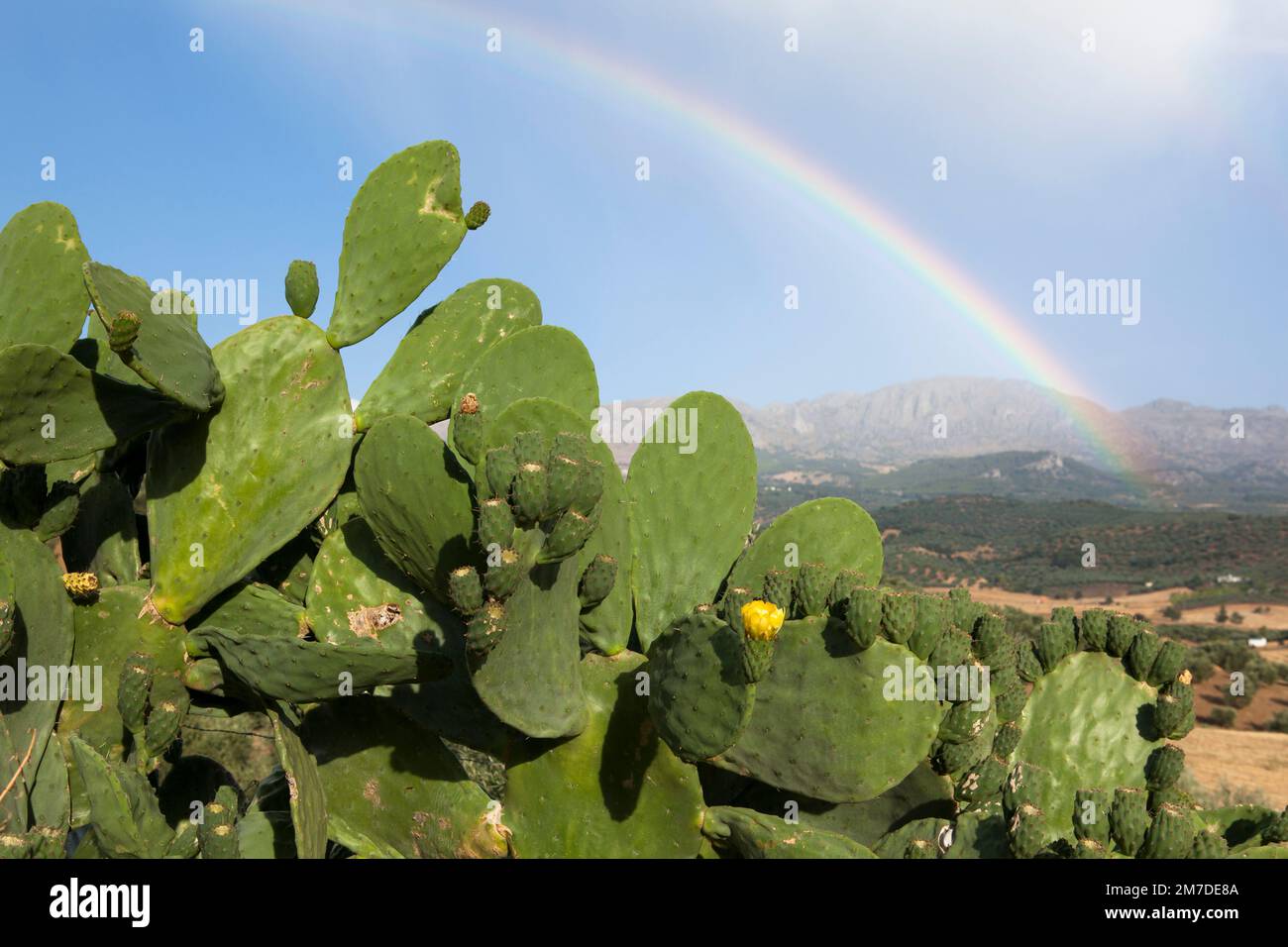 Oliver grove hi-res stock photography and images - Alamy
