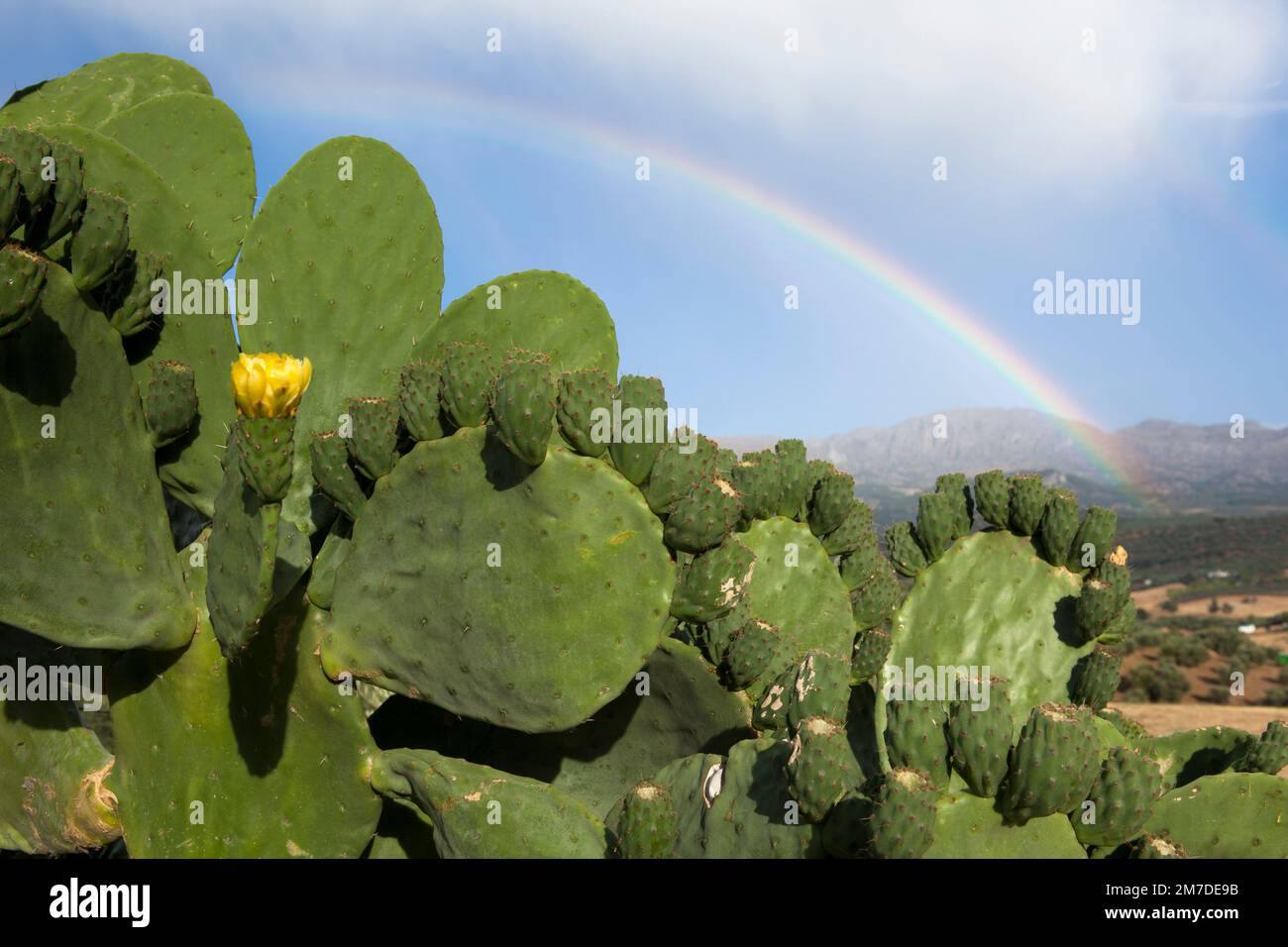 Oliver grove hi-res stock photography and images - Alamy