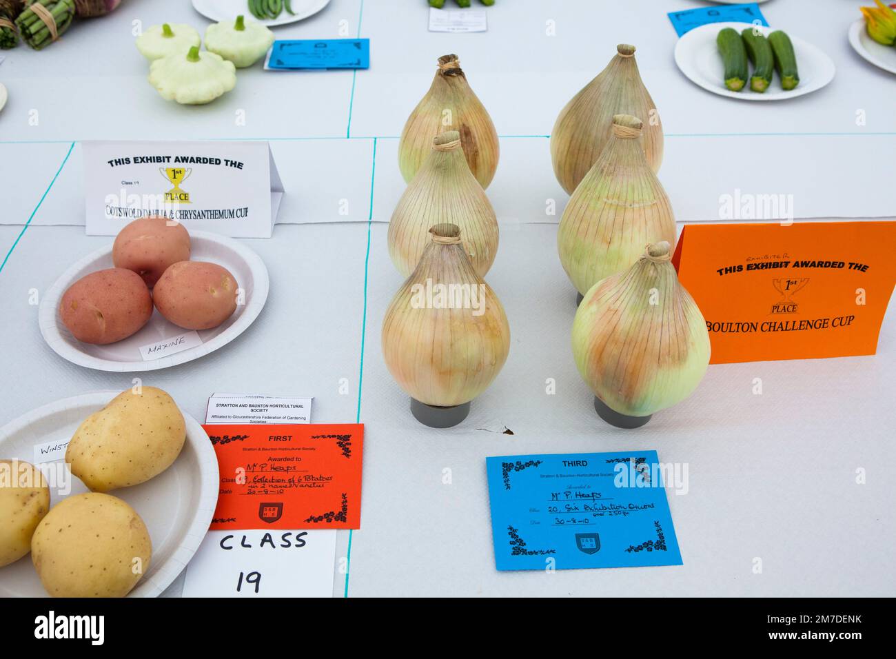 Giant show onions and other vegetables at a local village fete, flower ...