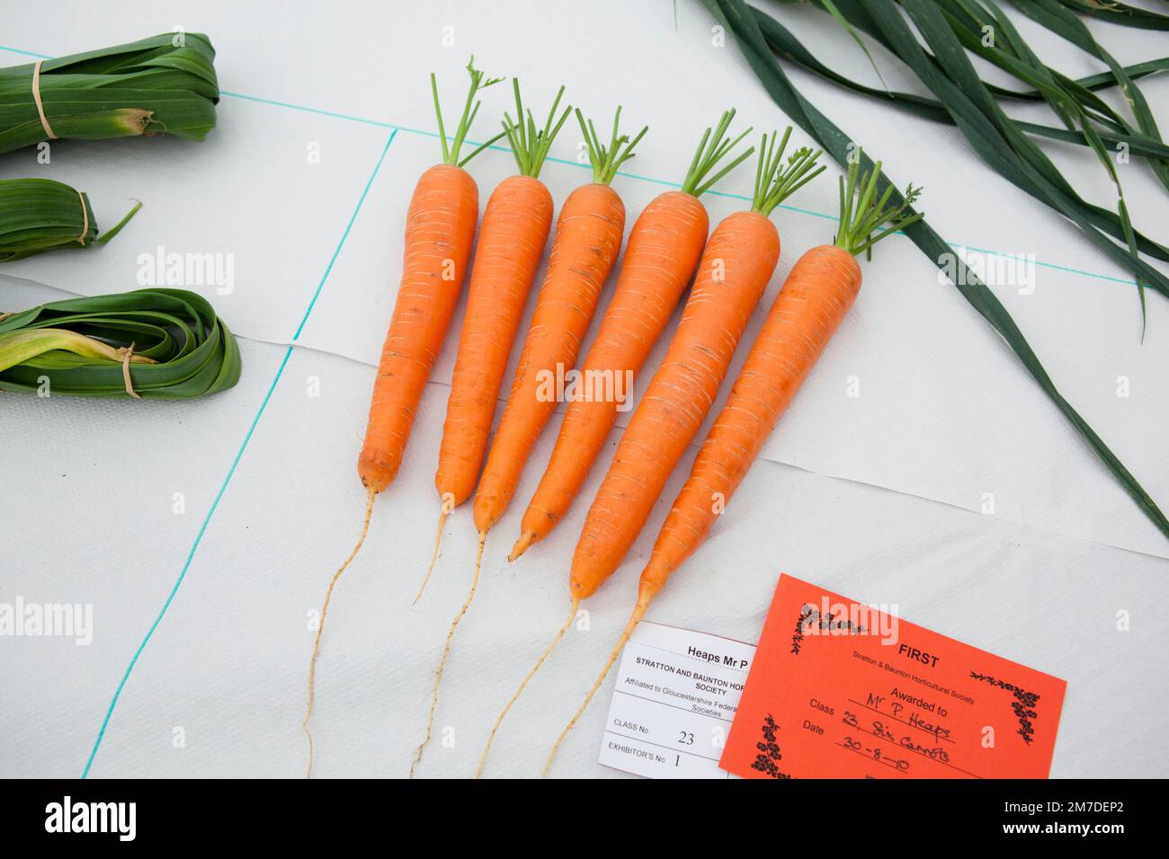 Giant show carrots at a local village fete, flower and vegetable show ...