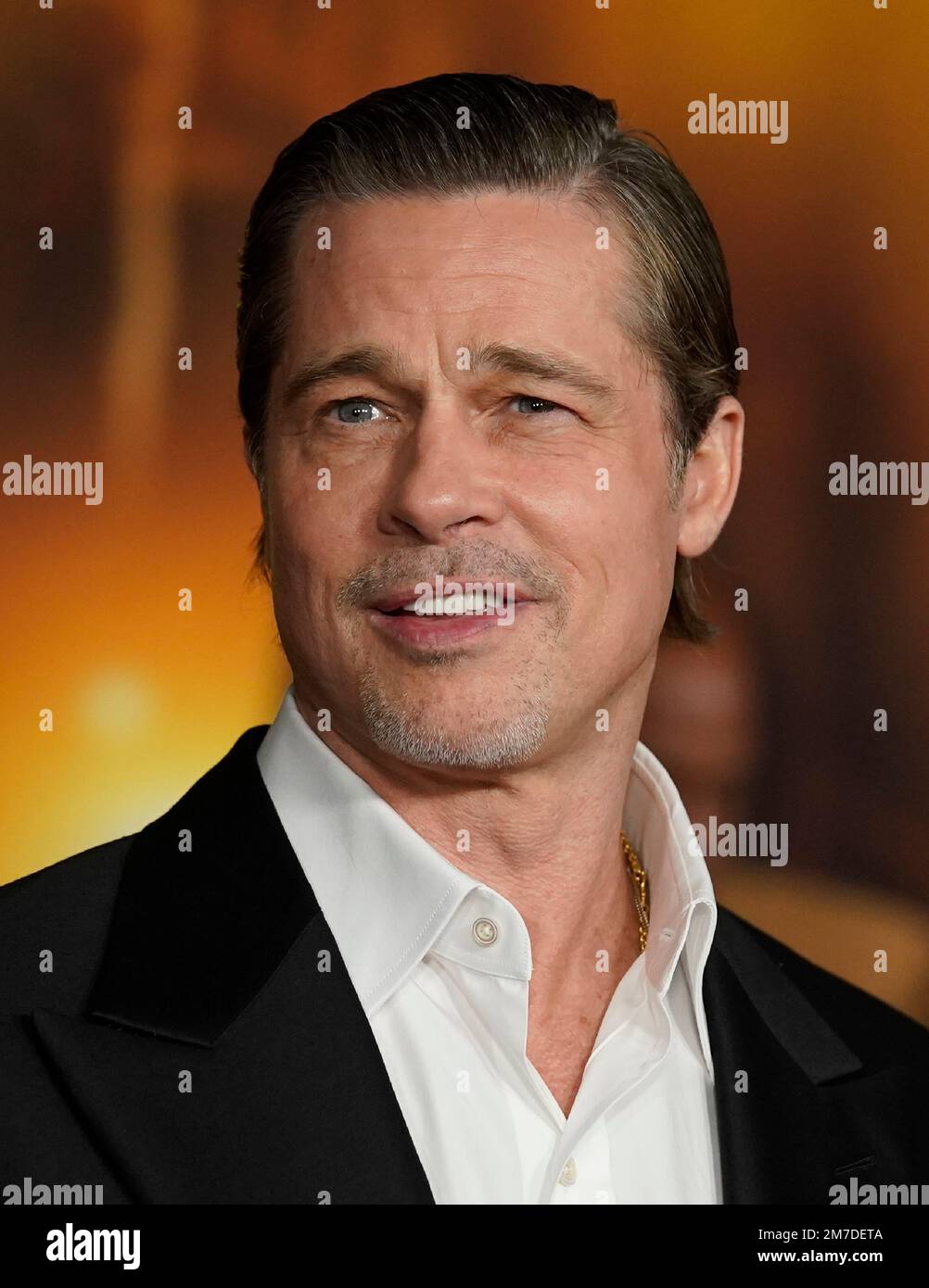 Brad Pitt poses at the premiere of the film "Babylon," Thursday, Dec ...