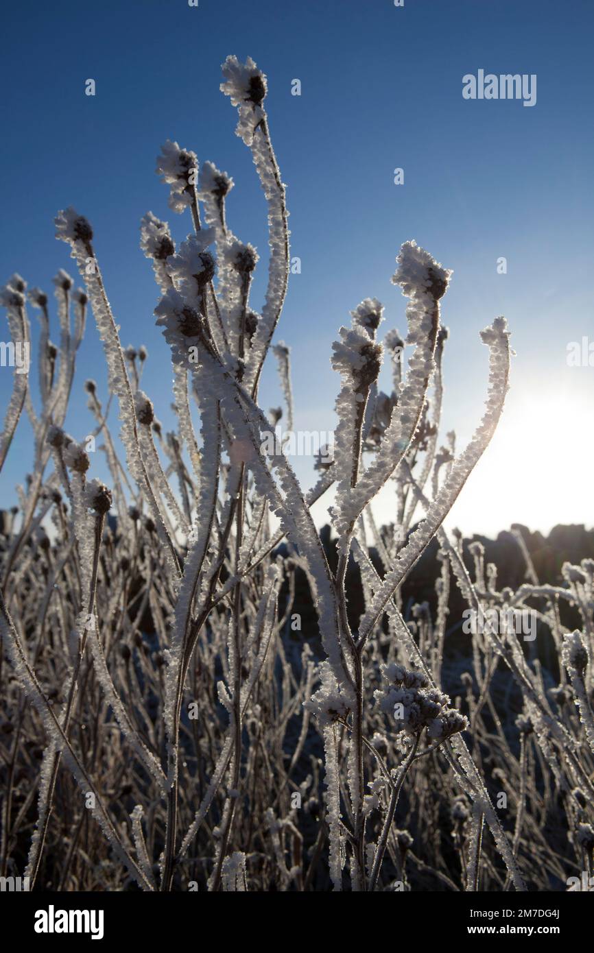 Out of the deep blue hi-res stock photography and images - Alamy