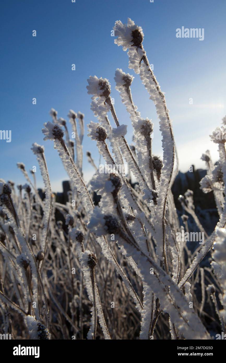 Rime out hi-res stock photography and images - Alamy