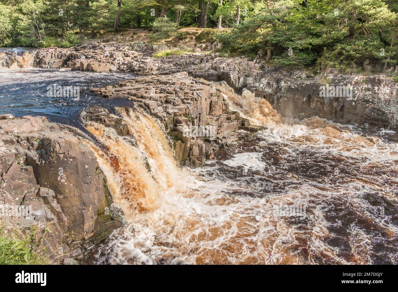 The River Tees thunders over the rocks at Low Force Waterfall Stock ...