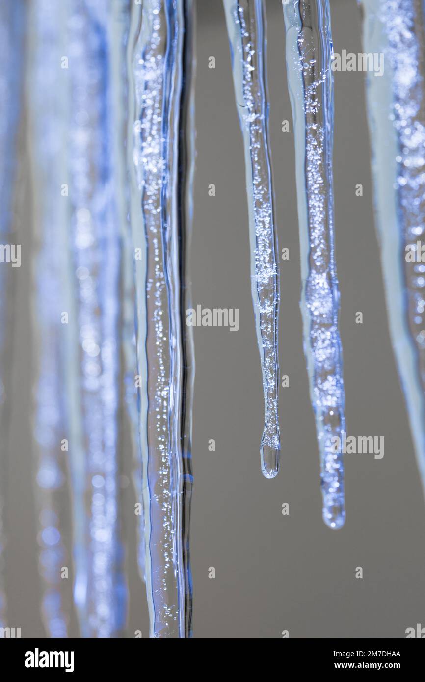 Large icicles hanging from a house, glisten in the winter sunlight like ...