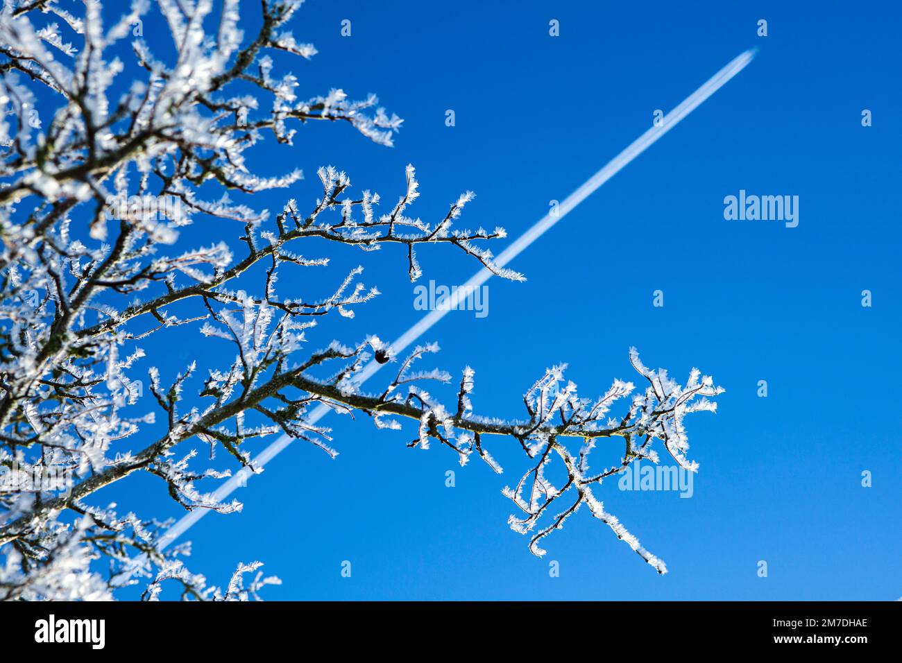 A hard frost covers the countryside on christmas day. Set against a ...
