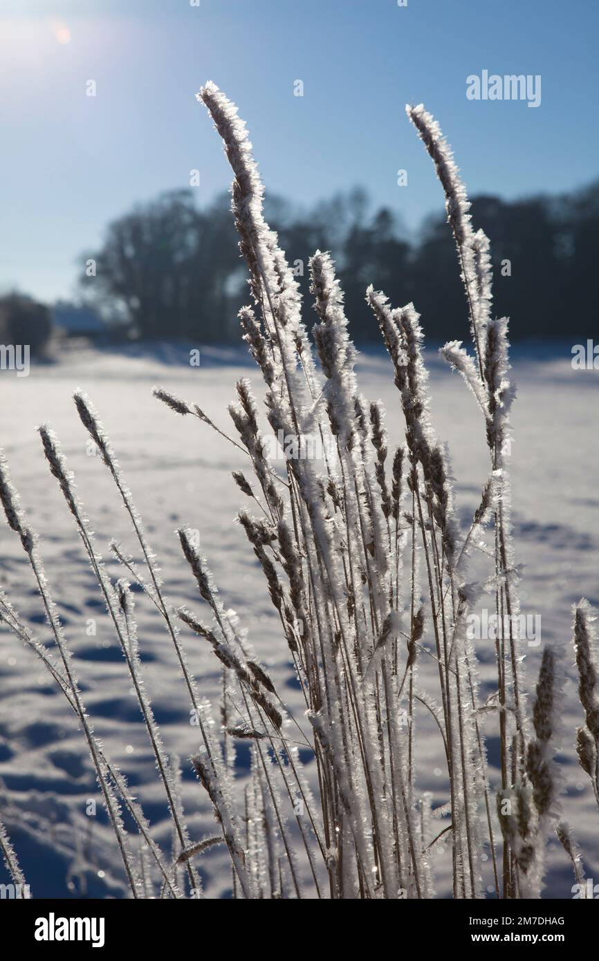 Hard snow hi-res stock photography and images - Alamy