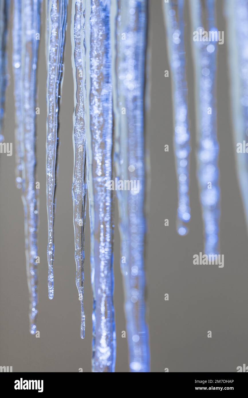 Large icicles hanging from a house, glisten in the winter sunlight like ...
