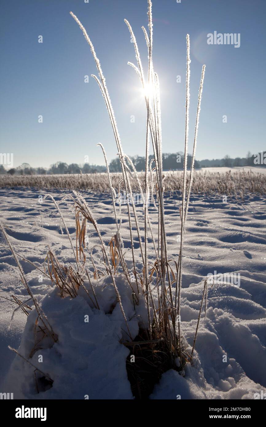 Hard snow hi-res stock photography and images - Alamy