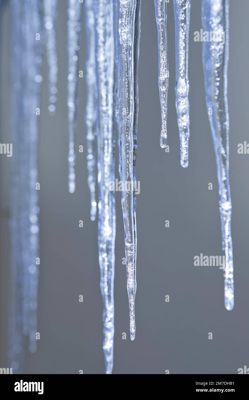 Large icicles hanging from a house, glisten in the winter sunlight like ...