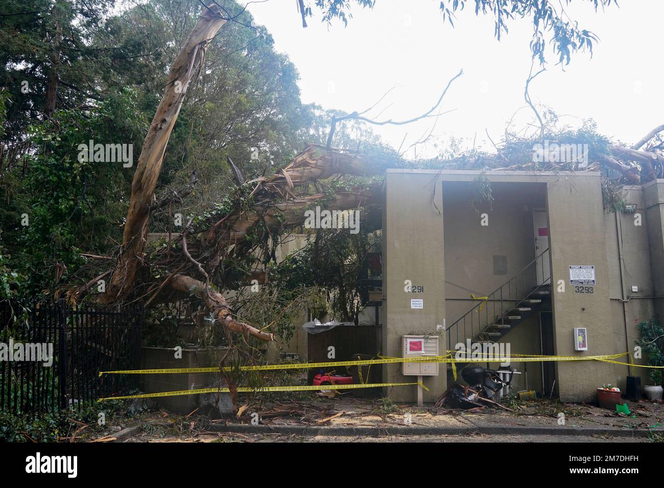 Damage to an apartment building can be seen after a tree toppled over ...