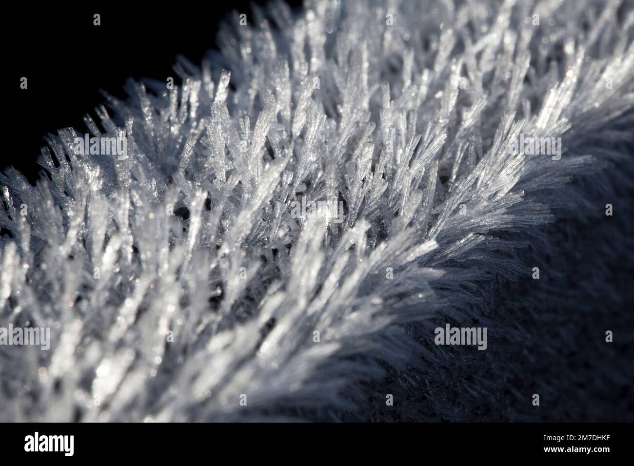 Delicate frost crystals cover hi-res stock photography and images - Alamy