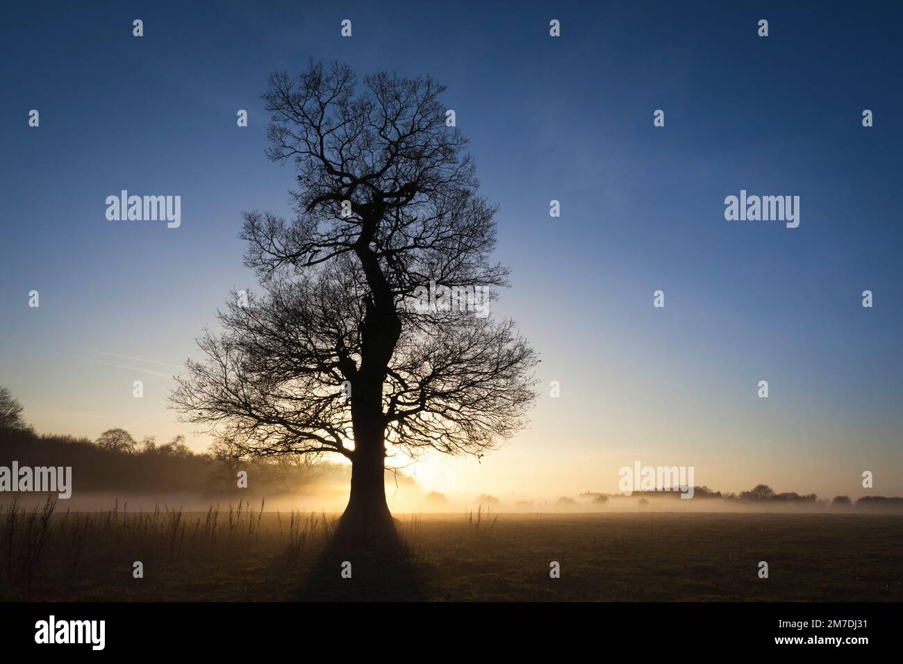 Sunset or twilight in the british countryside and this Cotswolds scene ...