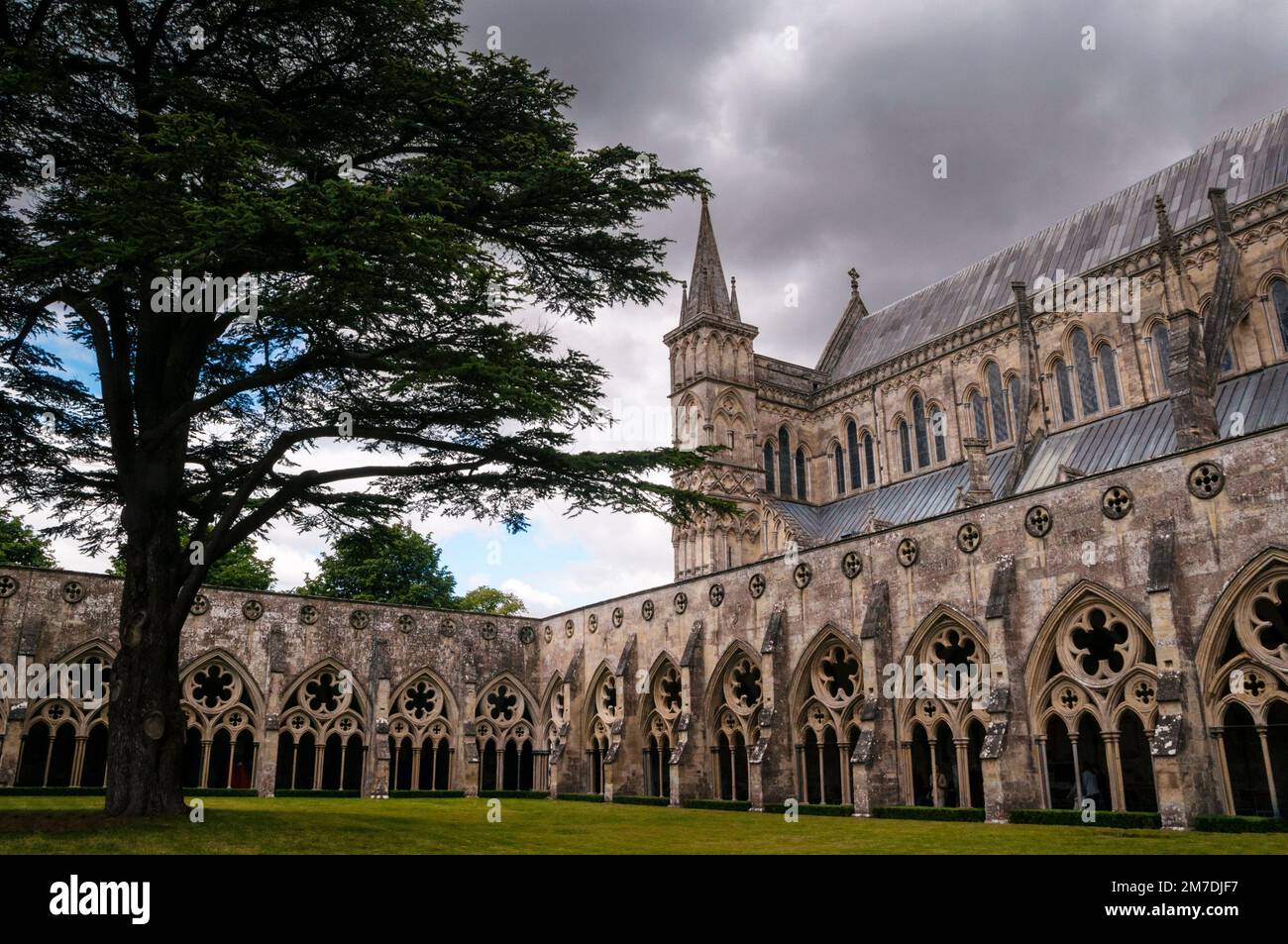 Mulitfoil hi-res stock photography and images - Alamy