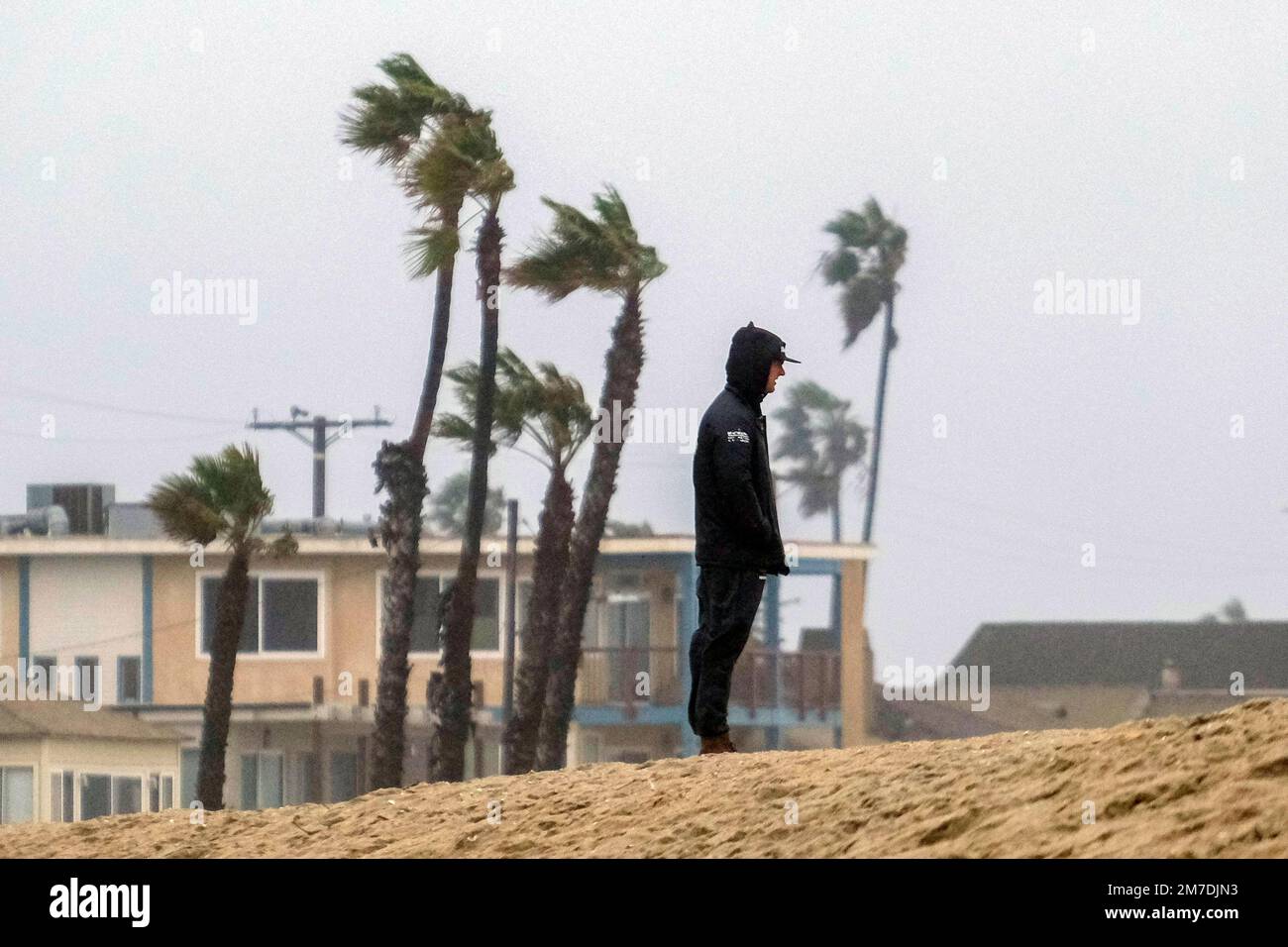 Wind blows the palm trees in the background, a man stands on the storm ...