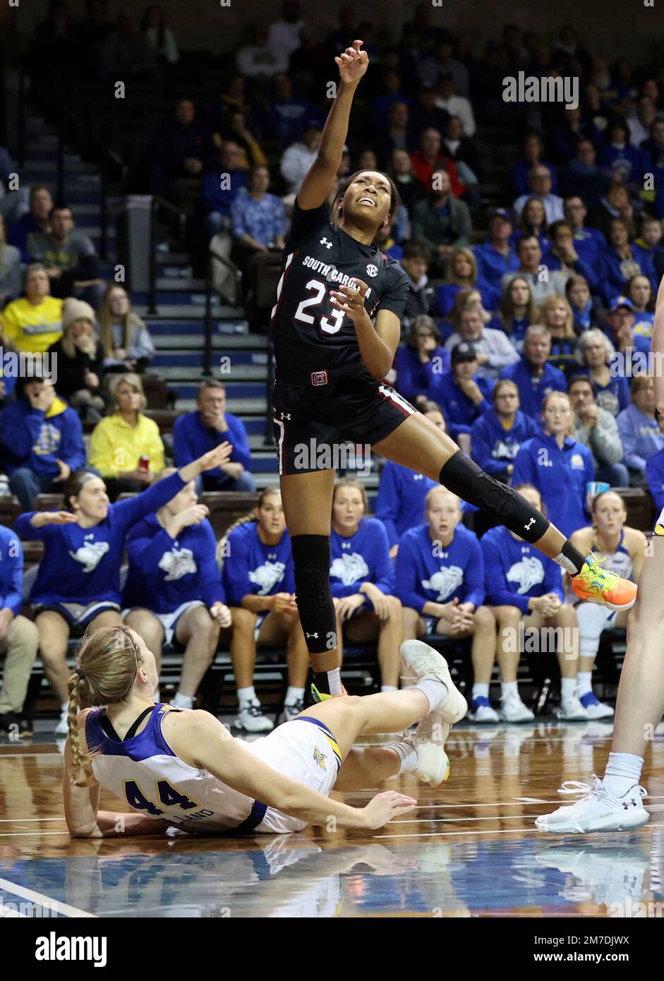 South Carolina guard Raven Johnson (23) shoots over South Dakota State ...