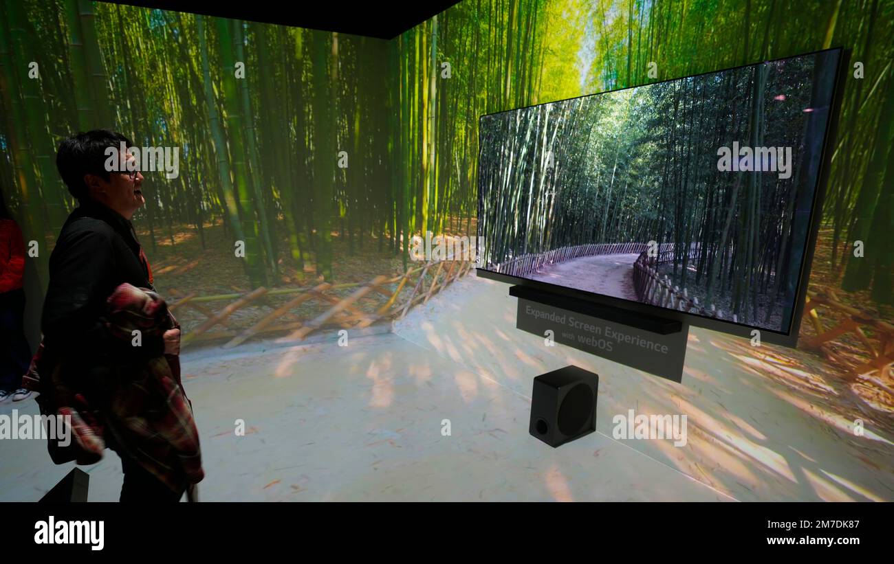 A CES attendee looks on from the immersive room at the LG booth at the ...