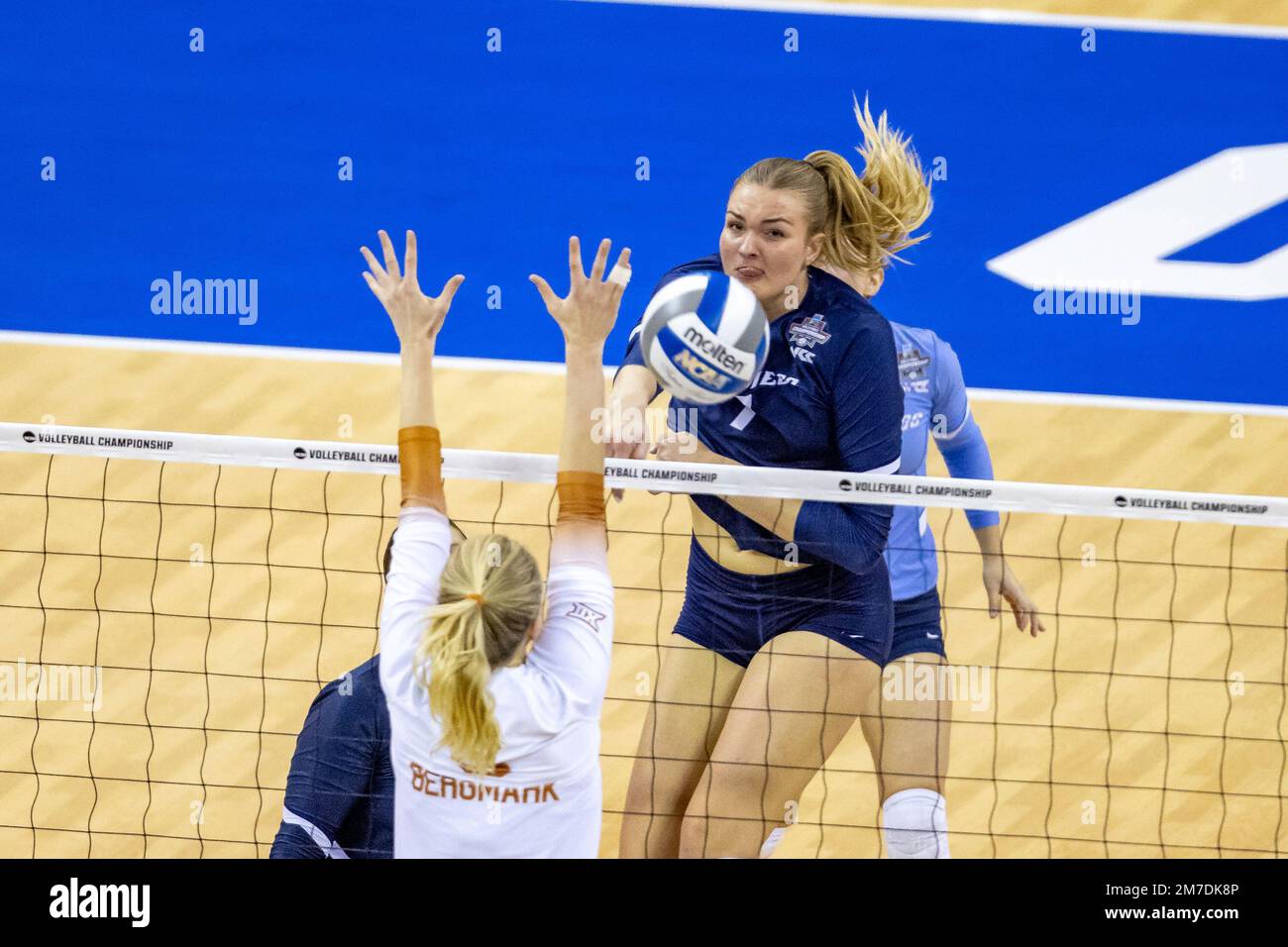 San Diego's Leyla Blackwell (7) spikes the ball against Texas' Bella ...