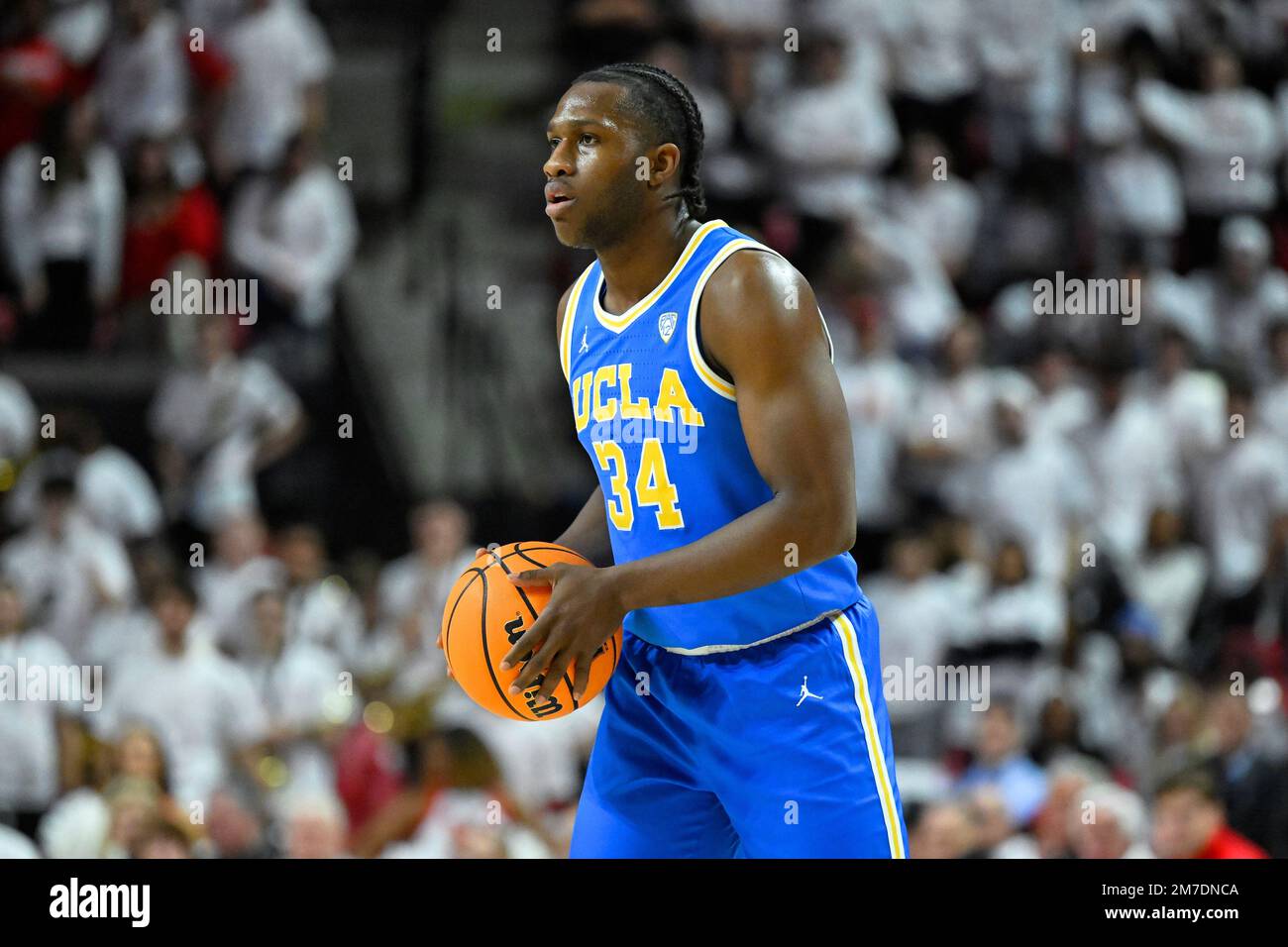 UCLA guard David Singleton (34) competes for the ball during the first ...