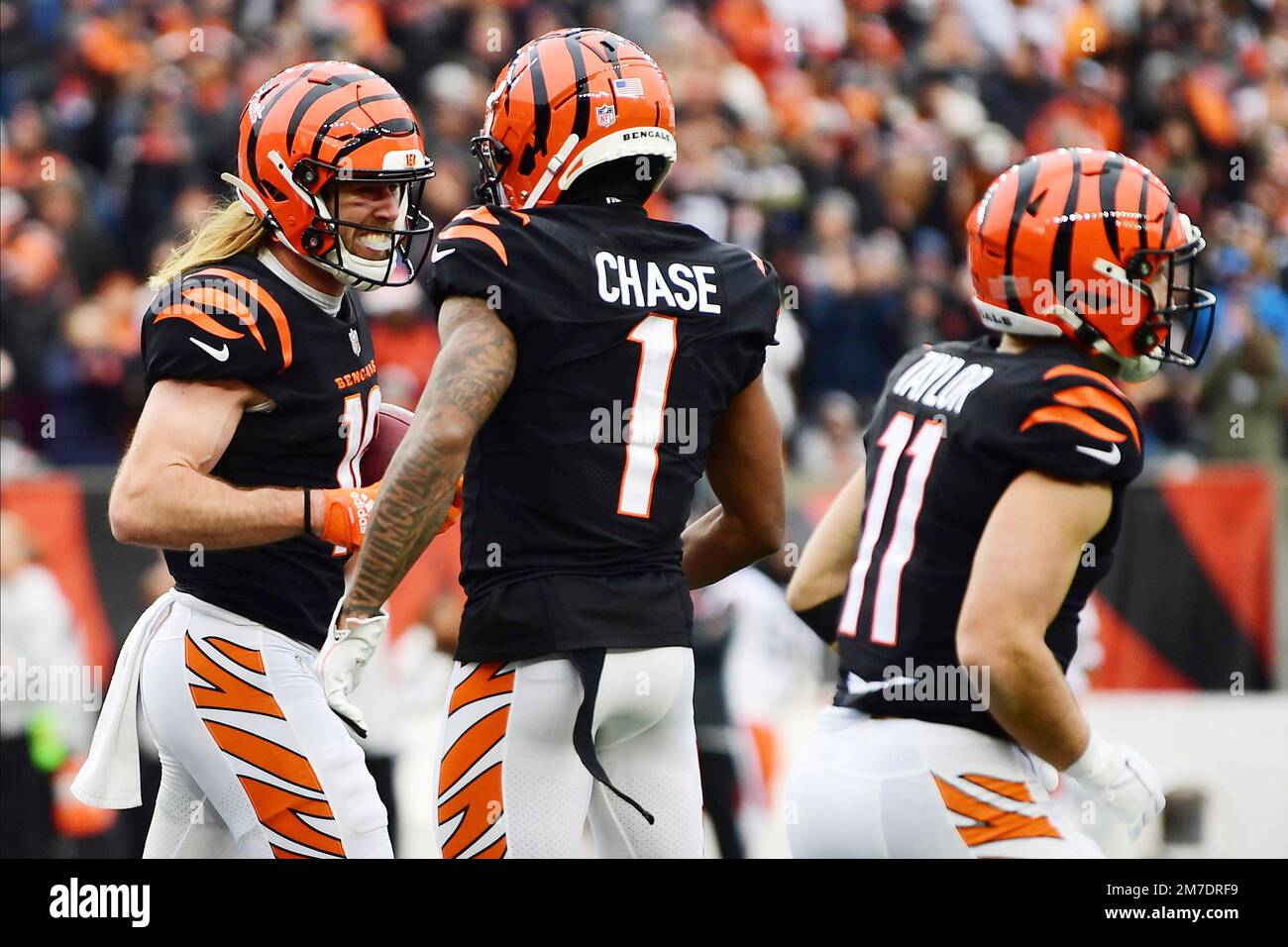 Cincinnati Bengals wide receiver Trenton Irwin (16) celebrates his ...