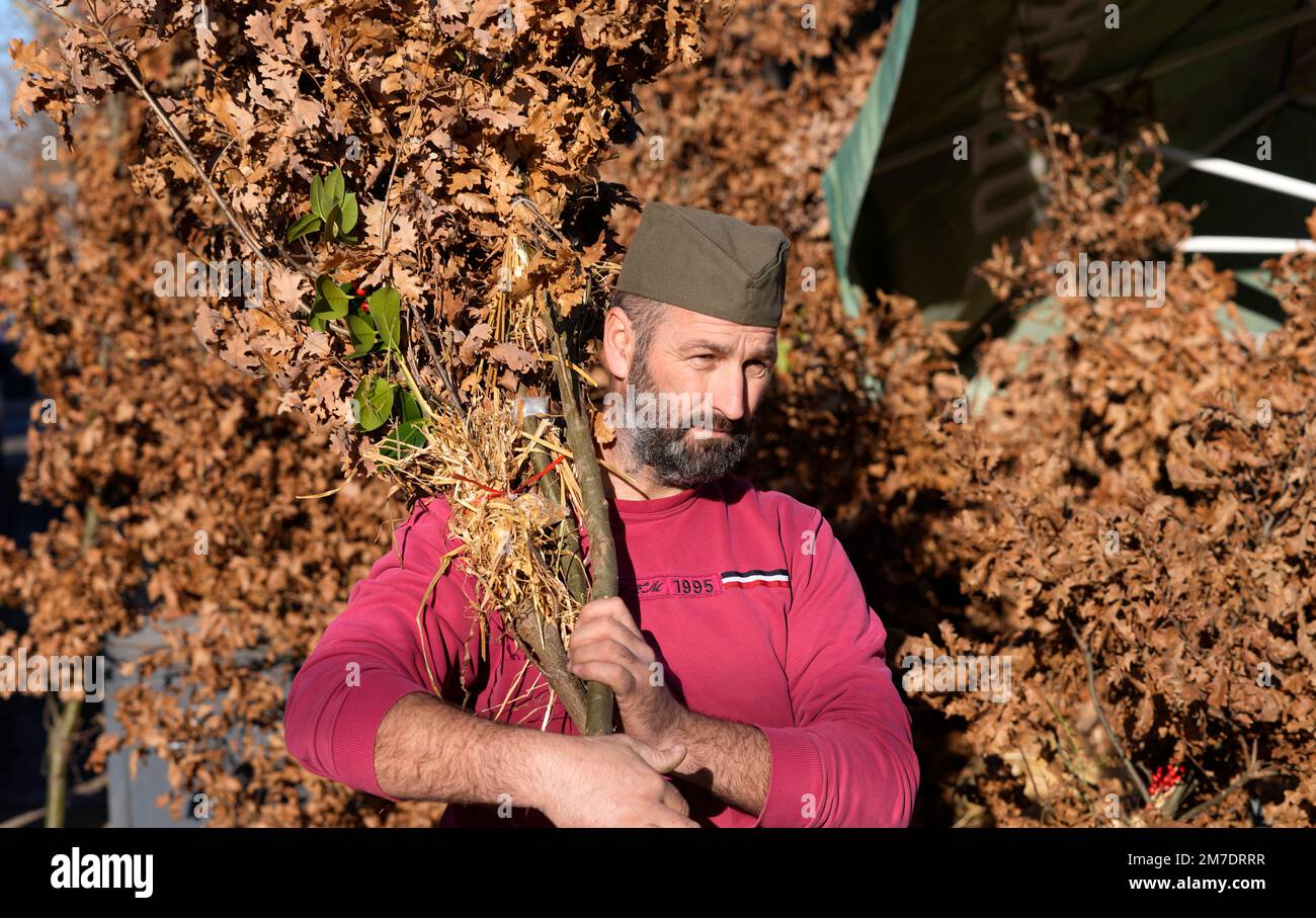 A vendor, wearing a traditional Serbian hat, holds dried oak branches ...