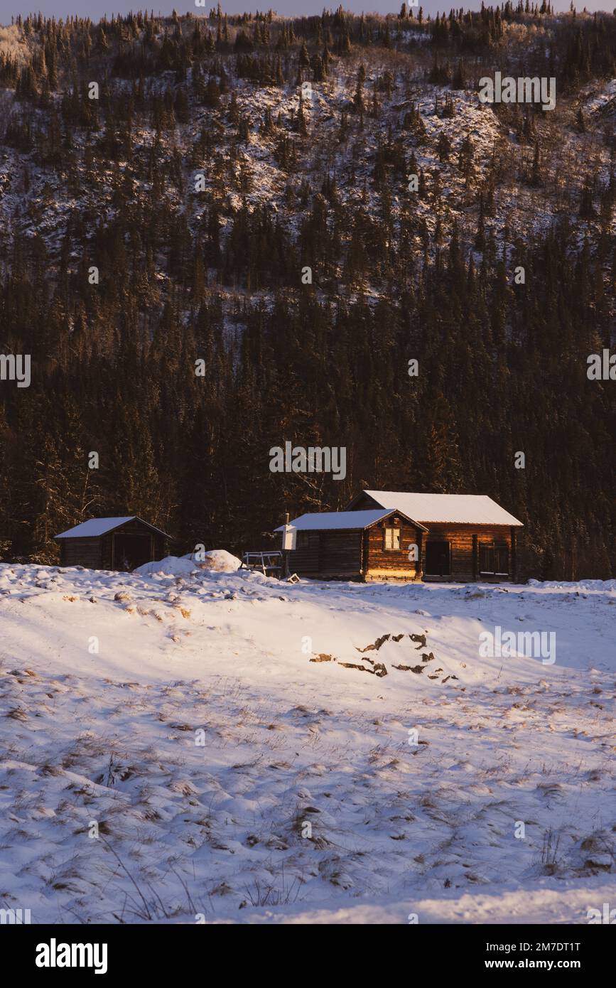 Beautiful little wooden mountain houses, huts surrounded by forest on a ...