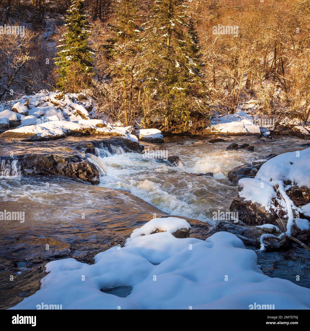 A section of the river Braan in the county of Perth & Kinross, Scotland ...