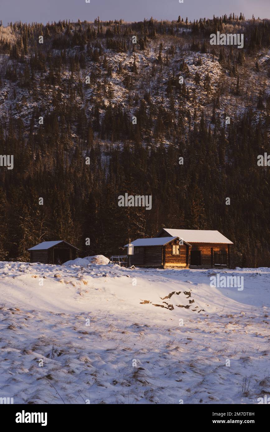 Beautiful little wooden mountain houses, huts surrounded by forest on a ...