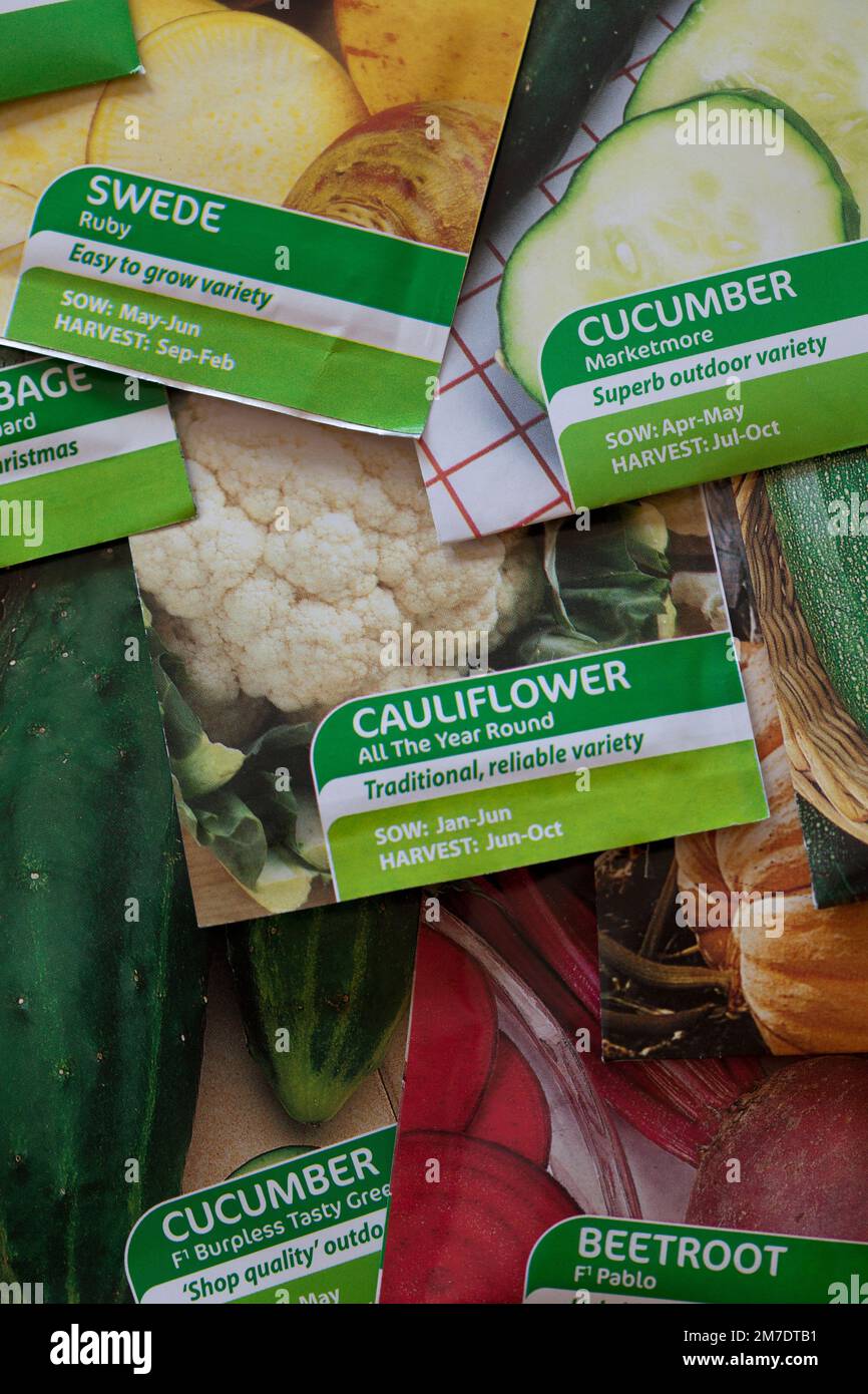 Close up detail of a seed packet for a variety of vegetables showing ...