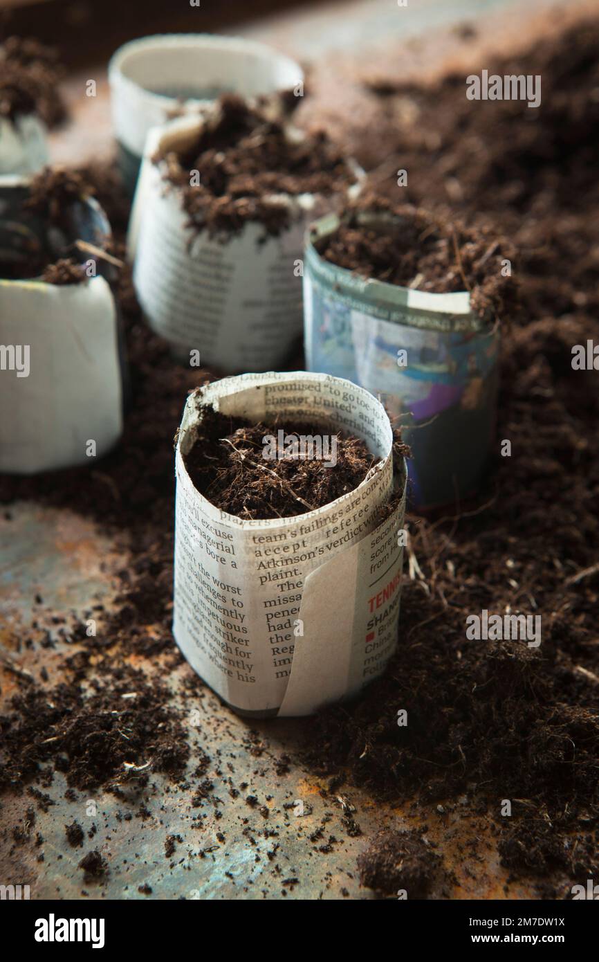 Home made plant pots for seedlings, made from old recycled newspapers ...