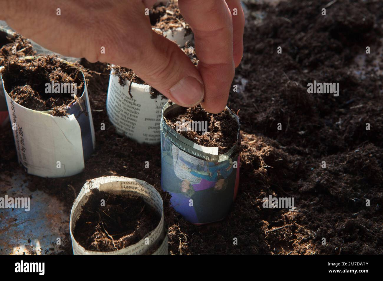 Home made plant pots for seedlings, made from old recycled newspapers ...