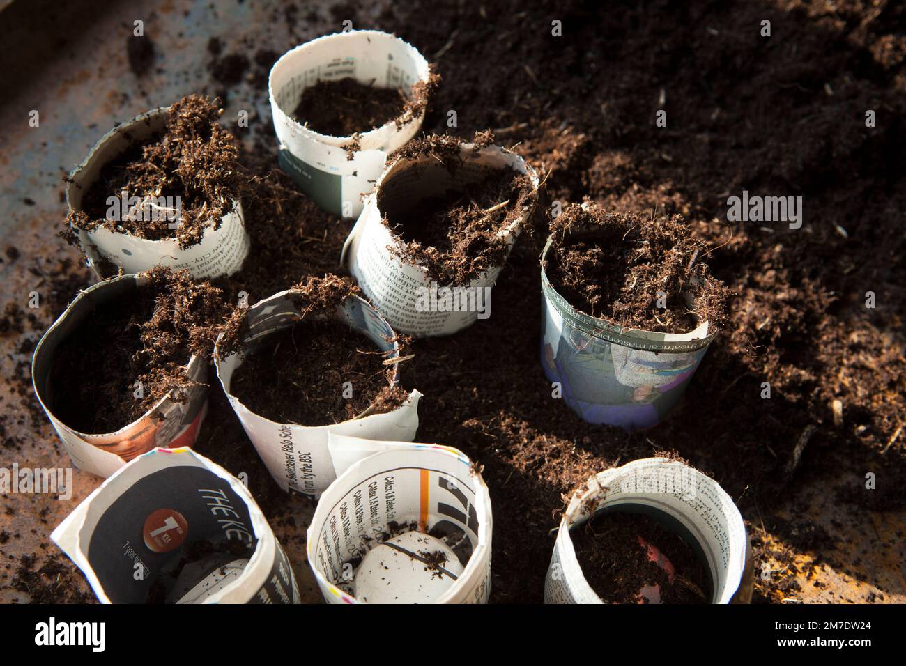Home made plant pots for seedlings, made from old recycled newspapers ...